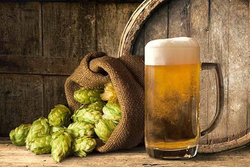 The Ultimate Beer Lover’s Guide: How To Ferment Beer For Unmatched ...