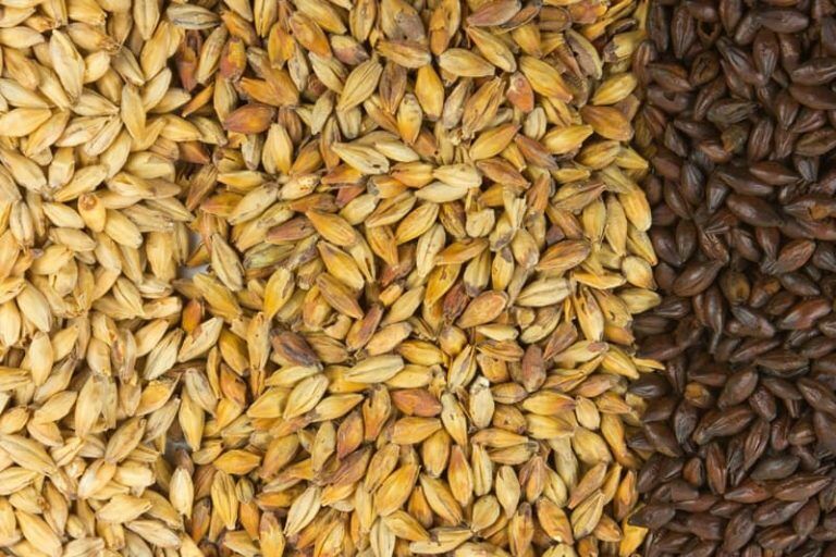 How many different types of malt are there in the production of craft ...