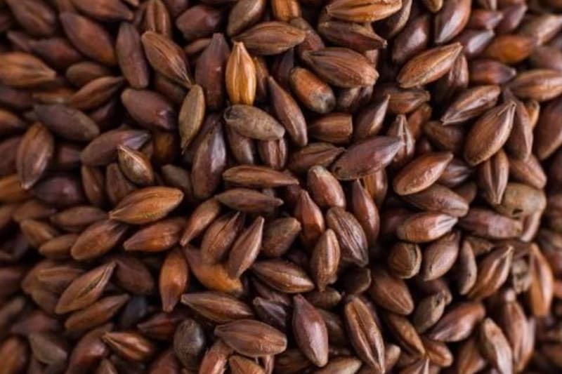 How many different types of malt are there in the production of craft ...