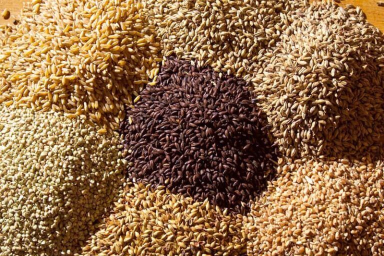 How many different types of malt are there in the production of craft ...