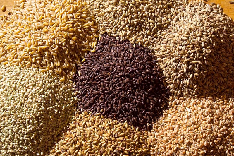 How many different types of malt are there in the production of craft ...