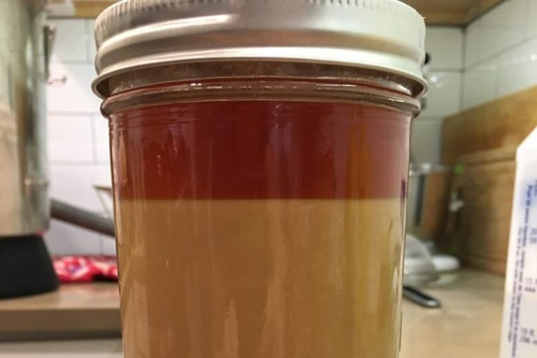 Why You Should Start Collecting Beer Yeast for Reuse: A Sustainable ...