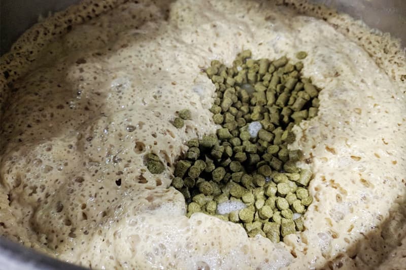 Hop creep: causes, effects, and prevention - Micet Craft Brewery Equipment