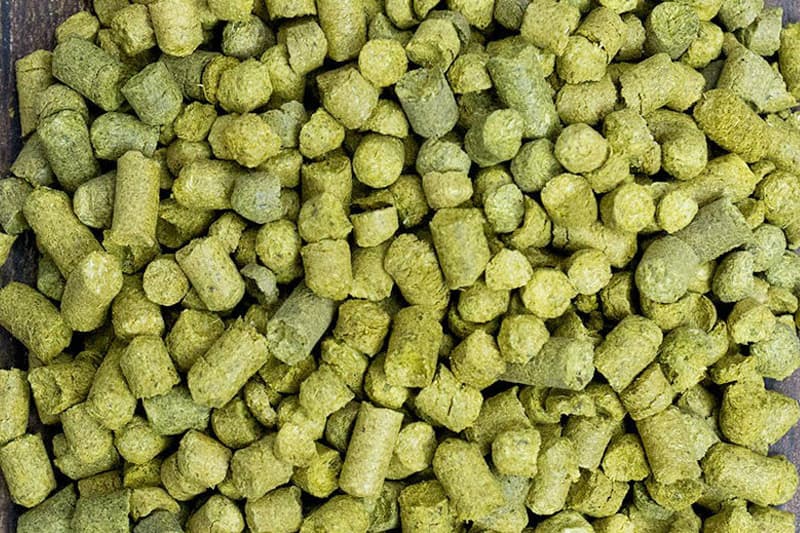 Hop creep: causes, effects, and prevention - Micet Craft Brewery Equipment