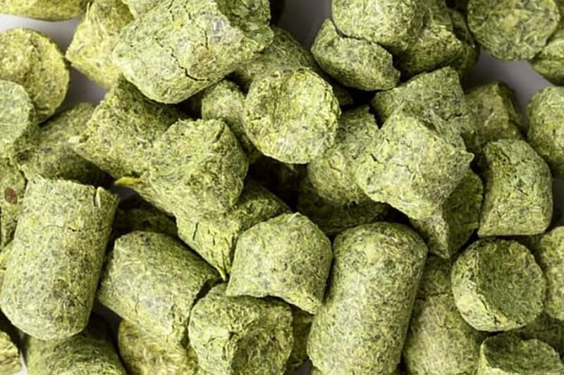 Hop creep: causes, effects, and prevention - Micet Craft Brewery Equipment