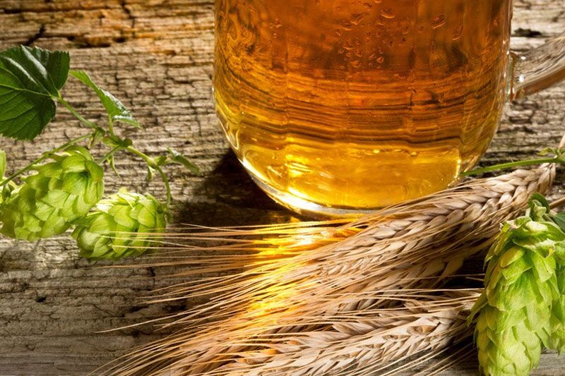 The Ultimate Guide to Craft Beer Equipment: Unraveling the Purpose of ...