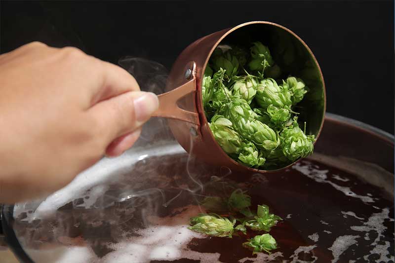 Brewery wort filtration technology - Micet Craft Brewery Equipment