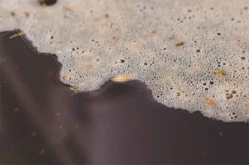 From Novice to Expert: Understanding Why Mashing is Key to Beer Brewing ...